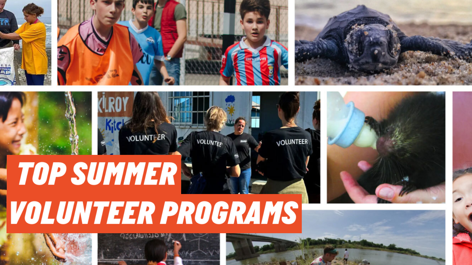 Top Summer Volunteer Programs 2025 | KILROY